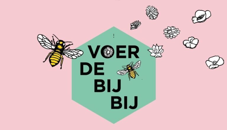 Voer de Bij Bij! - Buitenkweek 2026